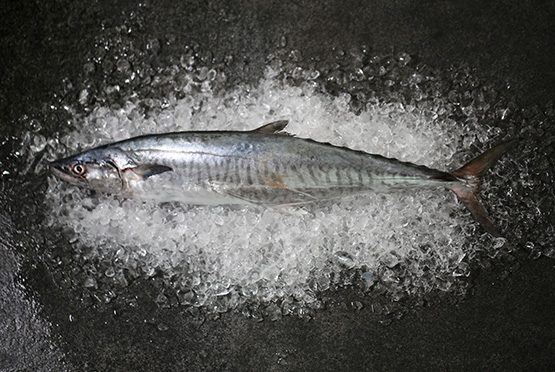 Fresh Batang : ANG TIAN HOCK